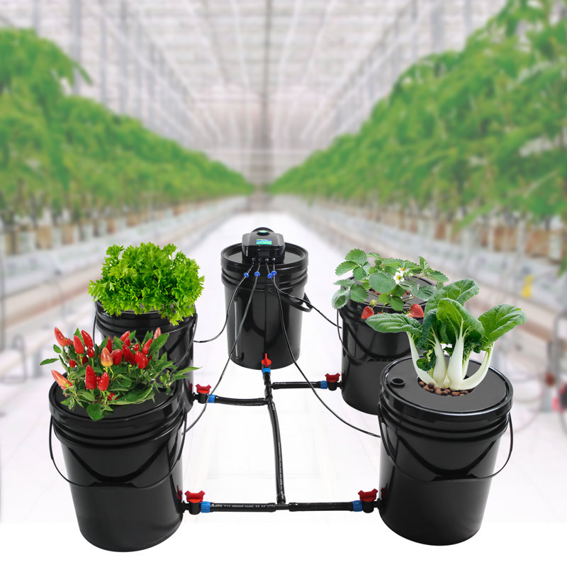 YaoTown 12 W Hydroponics Growing System 5.28 Gallon Recirculating Drip Gardening Tools | Wayfair